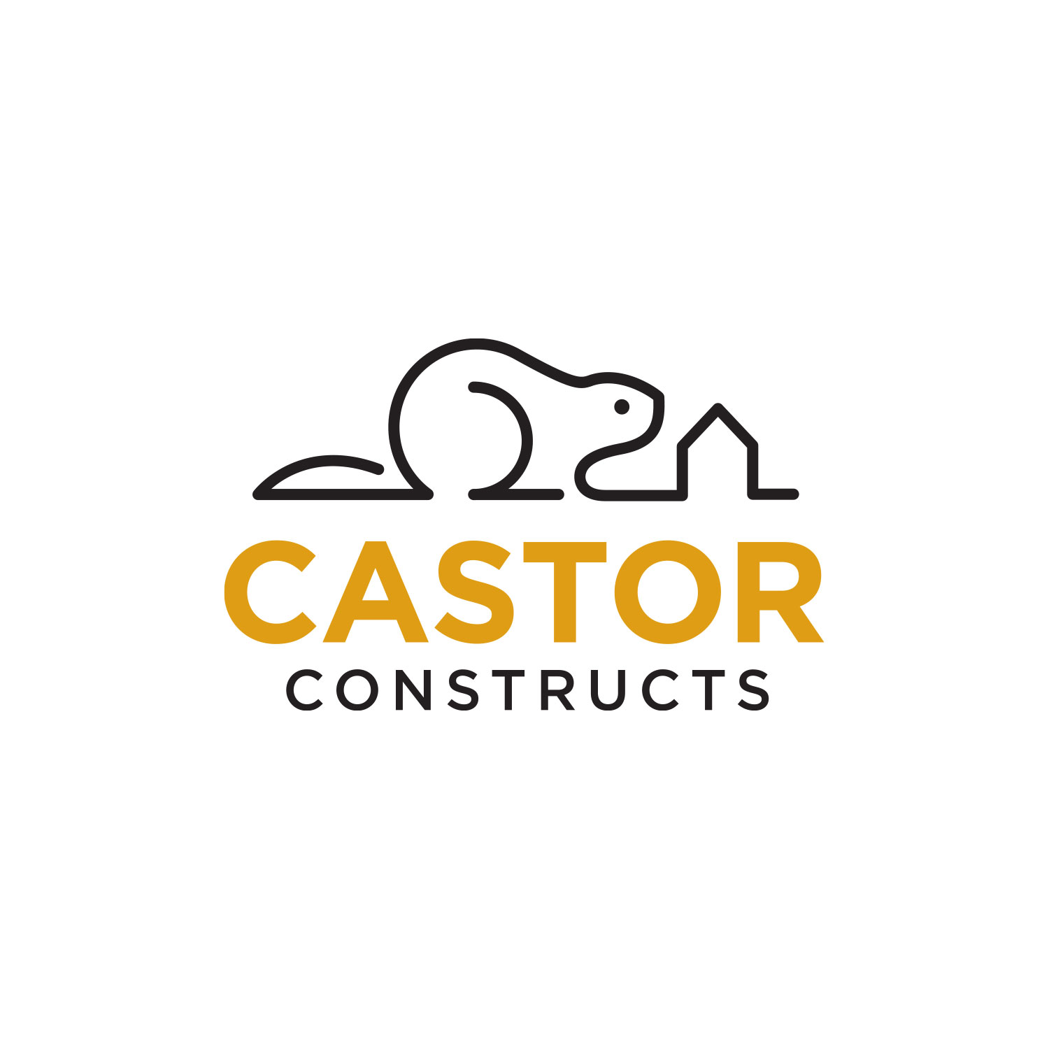 Castor Constructs Logo